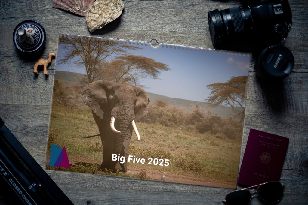 Kalender Big Five - Danni Arndt Photography